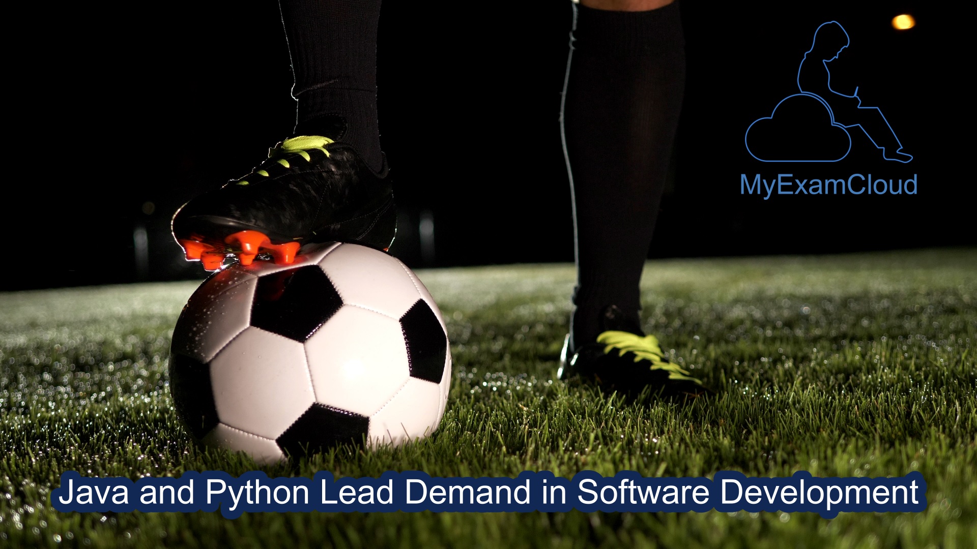 Java And Python Lead Demand In Software Development Driven By Adoption Of Aws And Microservices
